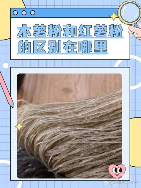 木薯粉是什么东西_木薯粉和红薯粉的区别-第2张图片-山城妙识