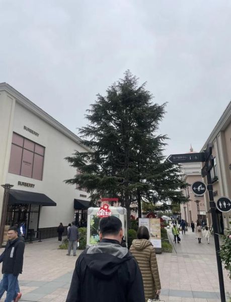 上海青浦奥特莱斯撤柜了吗_还能逛吗-第2张图片-山城妙识 上海青浦奥特莱斯撤柜了吗_还能逛吗-第2张图片-山城妙识