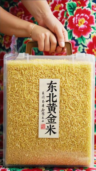 黄金米是什么米_黄金米和普通米的区别-第1张图片-山城妙识