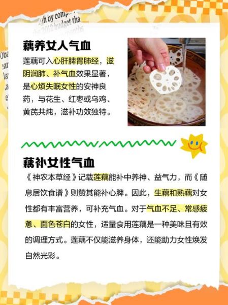 女人为啥要吃藕_藕对女性的好处-第1张图片-山城妙识 女人为啥要吃藕_藕对女性的好处-第1张图片-山城妙识