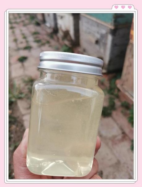 洋槐花蜂蜜是什么颜色_洋槐蜜真假辨别方法-第3张图片-山城妙识