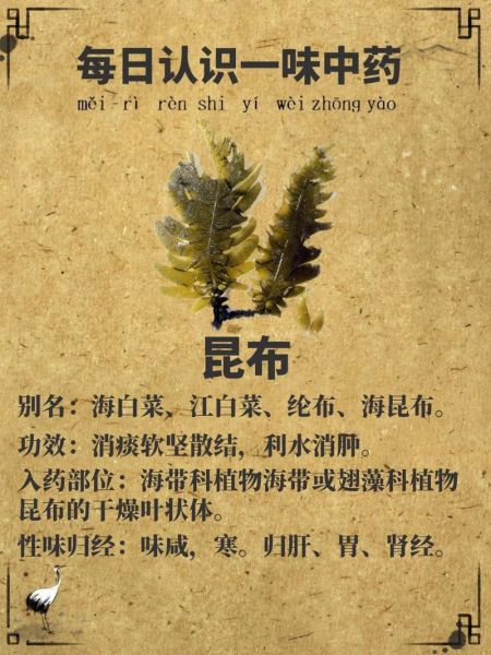 昆布的功效与作用_昆布禁忌人群有哪些-第2张图片-山城妙识