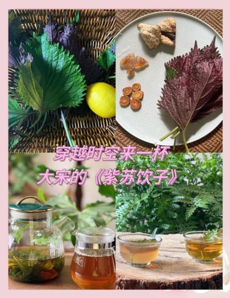 紫苏叶怎么做好吃_紫苏叶的家常做法-第1张图片-山城妙识 紫苏叶怎么做好吃_紫苏叶的家常做法-第1张图片-山城妙识