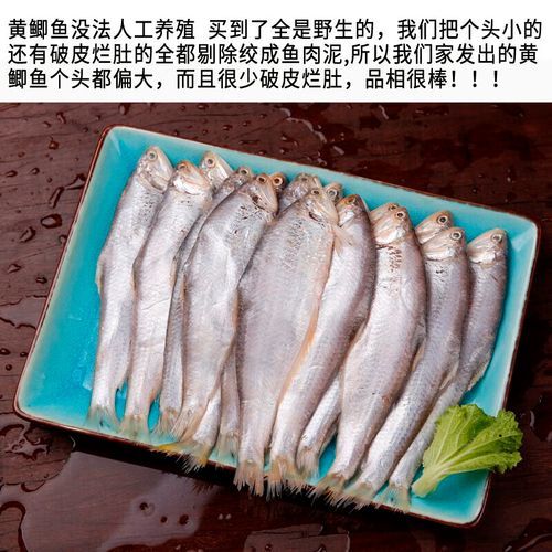 黄鲫子鱼多少钱一斤_黄鲫子鱼怎么做好吃-第2张图片-山城妙识 黄鲫子鱼多少钱一斤_黄鲫子鱼怎么做好吃-第2张图片-山城妙识