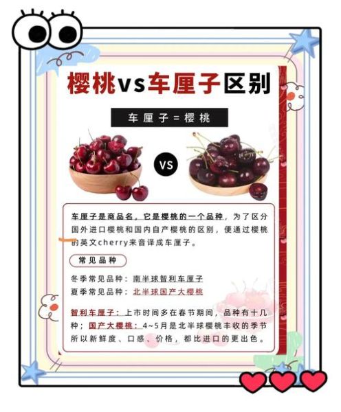 车厘子和樱桃的区别在哪里_如何一眼分辨-第1张图片-山城妙识
