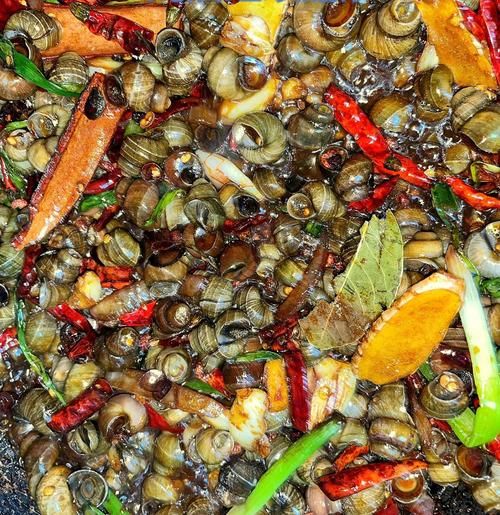 螺丝怎么炒好吃_螺丝怎么清洗最干净-第1张图片-山城妙识