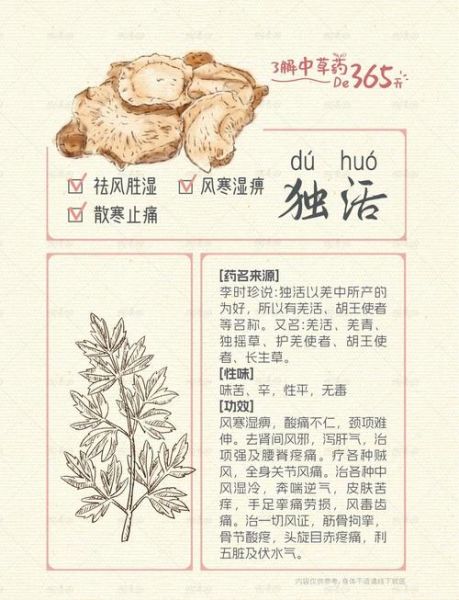 独活寄生汤的功效与作用_独活寄生汤适合什么人-第3张图片-山城妙识