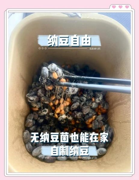 家庭自制纳豆怎么做_纳豆发酵温度是多少-第1张图片-山城妙识