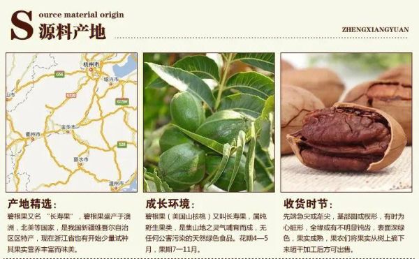 碧根果的功效与作用_碧根果每天吃多少合适-第3张图片-山城妙识