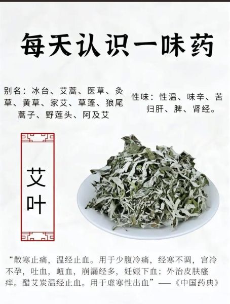 艾叶草的功效与作用_艾叶草怎么用效果最好-第3张图片-山城妙识