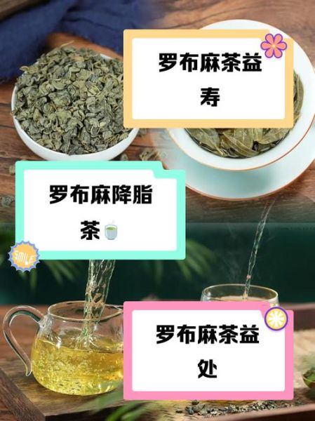 罗布麻茶长期喝的副作用_罗布麻茶能长期喝吗-第3张图片-山城妙识