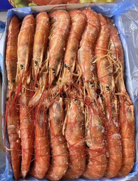 阿根廷红虾多少钱一盒_阿根廷红虾价格为什么差异大-第1张图片-山城妙识