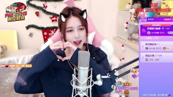 广寒宫丸子呦是什么_广寒宫丸子呦怎么玩-第3张图片-山城妙识