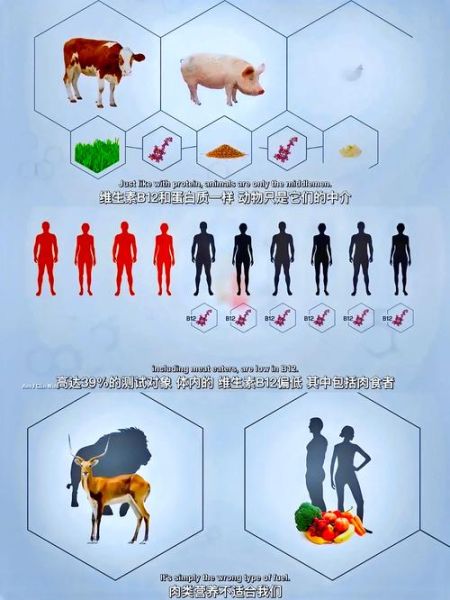 素食者联盟纪录片讲了什么_素食者联盟纪录片可信吗-第1张图片-山城妙识 素食者联盟纪录片讲了什么_素食者联盟纪录片可信吗-第1张图片-山城妙识
