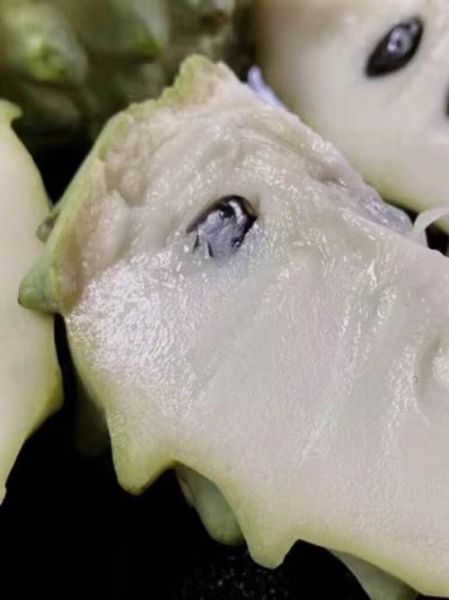 番荔枝什么人不能吃_孕妇可以吃吗-第2张图片-山城妙识