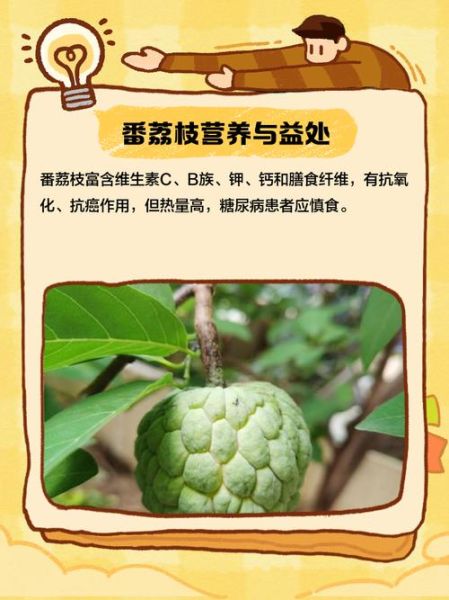 番荔枝什么人不能吃_孕妇可以吃吗-第3张图片-山城妙识