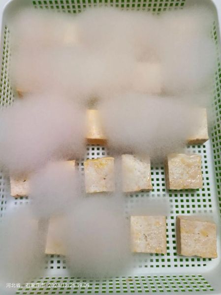 腐乳是什么菌发酵_腐乳发酵菌种有哪些-第3张图片-山城妙识 腐乳是什么菌发酵_腐乳发酵菌种有哪些-第3张图片-山城妙识