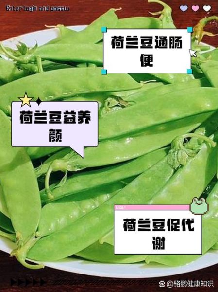 荷兰豆的营养价值_荷兰豆适合减肥吗-第3张图片-山城妙识