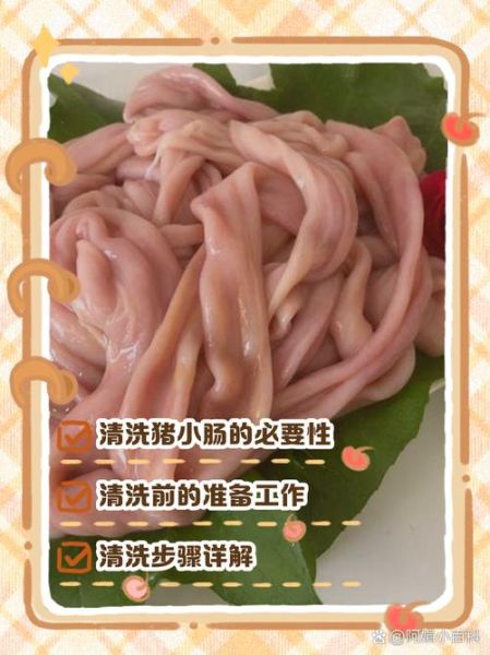 猪小肠怎么洗才干净_猪小肠快速清洗方法-第3张图片-山城妙识