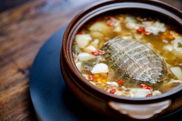 鳖的做法视频教程_如何炖鳖汤不腥-第2张图片-山城妙识