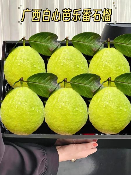 白心番石榴的功效与作用_白心番石榴怎么吃最好-第1张图片-山城妙识