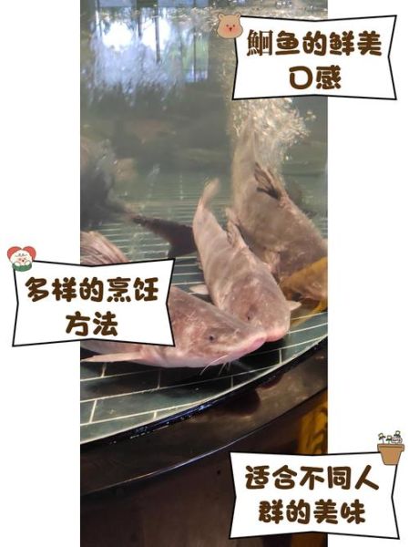 回鱼刺多吗_适合孩子吃吗-第1张图片-山城妙识