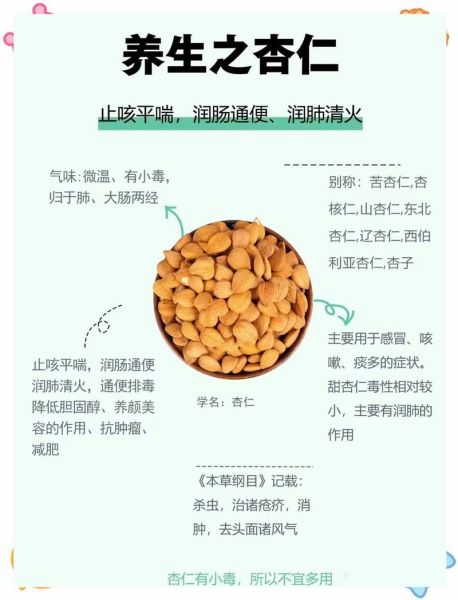大杏仁的功效与作用及禁忌_什么人不能吃大杏仁-第3张图片-山城妙识