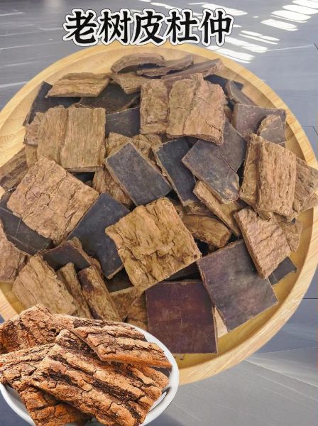 杜仲图片大全大图_杜仲长什么样-第1张图片-山城妙识 杜仲图片大全大图_杜仲长什么样-第1张图片-山城妙识