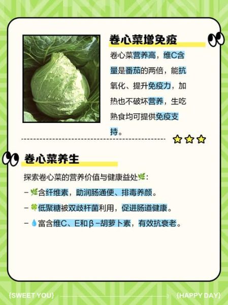 卷心菜的功效与作用_卷心菜的营养价值有哪些-第1张图片-山城妙识