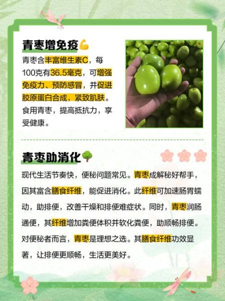 青枣什么人不能吃_青枣禁忌人群有哪些-第1张图片-山城妙识