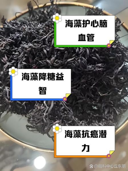 海藻的功效与作用有哪些_海藻主治什么病-第1张图片-山城妙识