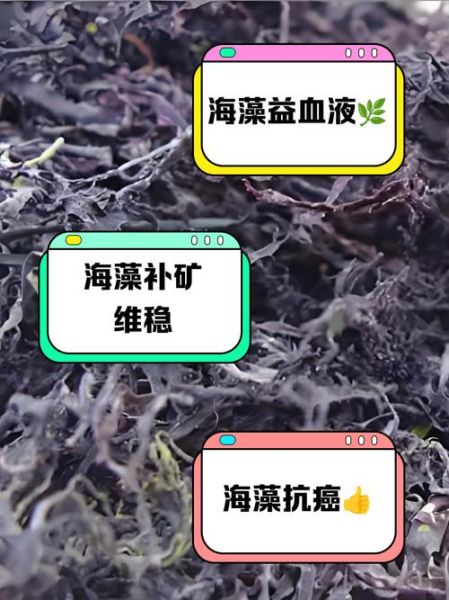 海藻的功效与作用有哪些_海藻主治什么病-第2张图片-山城妙识