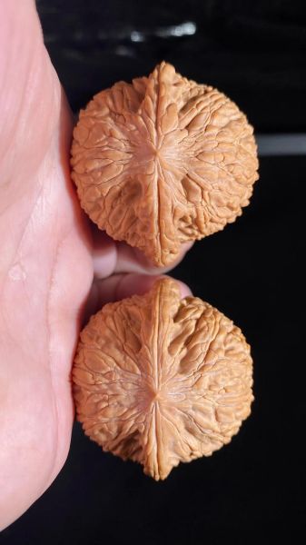 老款狮子头核桃怎么鉴别_老款狮子头核桃价格多少-第3张图片-山城妙识