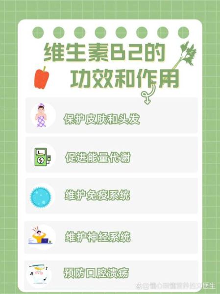维生素B2的作用与功效_维生素B2能天天吃吗-第1张图片-山城妙识