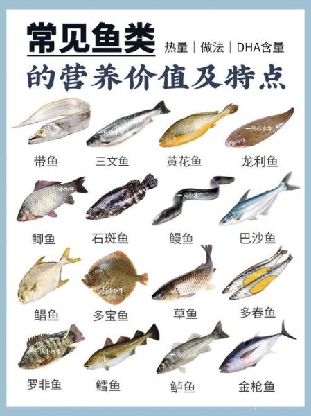 柴鱼是什么鱼_柴鱼和金枪鱼的区别-第3张图片-山城妙识 柴鱼是什么鱼_柴鱼和金枪鱼的区别-第3张图片-山城妙识