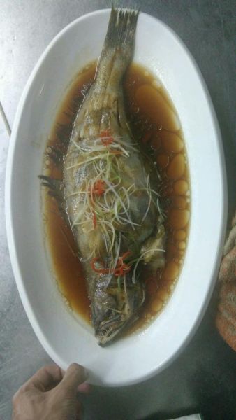 鸦片鱼清蒸几分钟_清蒸鸦片鱼最佳时间-第1张图片-山城妙识