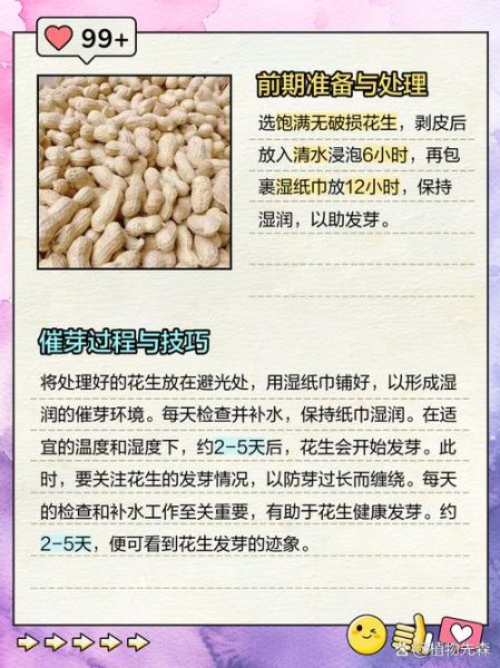 花生芽苗菜怎么种_花生芽苗菜种植视频教程-第1张图片-山城妙识