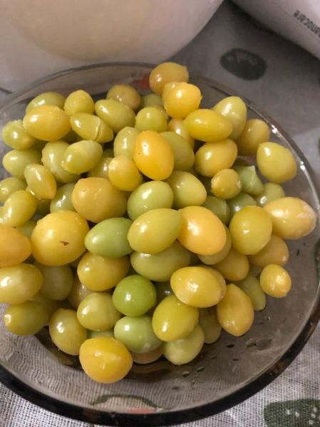 银杏果能吃吗_银杏果啥时候熟-第3张图片-山城妙识 银杏果能吃吗_银杏果啥时候熟-第3张图片-山城妙识