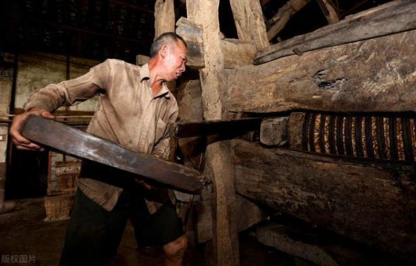 农村十大暴利行业有哪些_农村创业做什么最赚钱-第2张图片-山城妙识