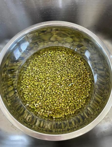 生豆芽的正确方法_怎么在家生豆芽-第2张图片-山城妙识