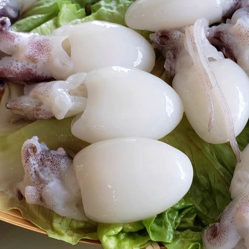 墨鱼仔的营养价值_墨鱼仔吃了有什么好处-第1张图片-山城妙识