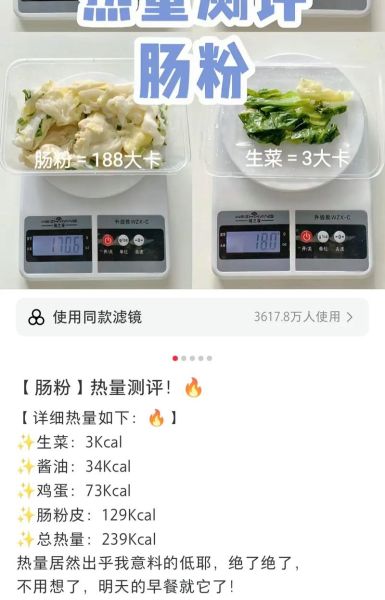 广东肠粉热量是多少_减肥能吃吗-第2张图片-山城妙识