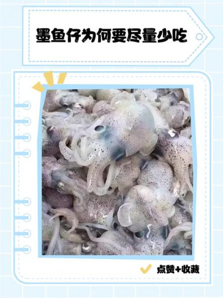 墨鱼仔的营养价值_墨鱼仔吃了有什么好处-第3张图片-山城妙识