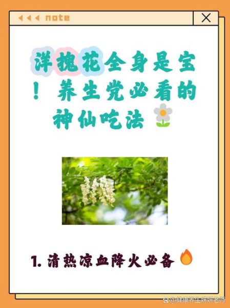 洋槐花泡茶有什么功效_洋槐花茶的禁忌-第3张图片-山城妙识