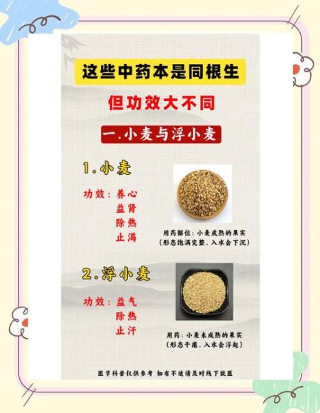 浮小麦和小麦的区别_浮小麦是小麦吗-第1张图片-山城妙识 浮小麦和小麦的区别_浮小麦是小麦吗-第1张图片-山城妙识