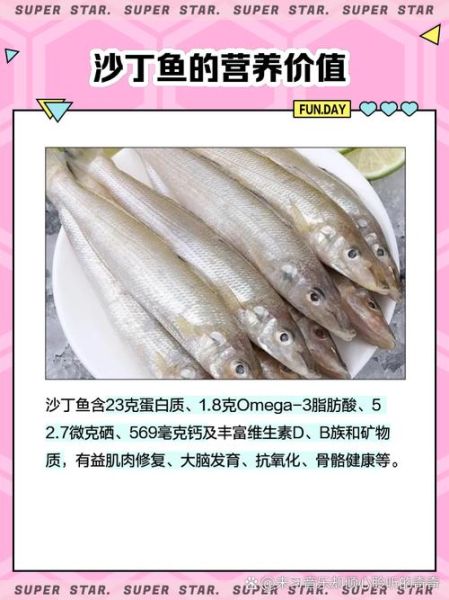 沙丁鱼视频怎么赚钱_沙丁鱼视频提现多久到账-第3张图片-山城妙识