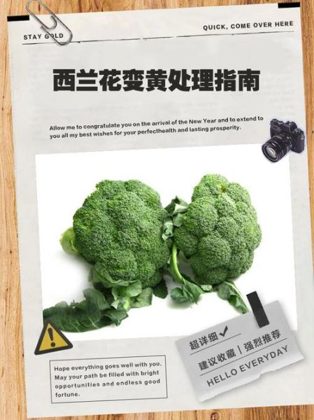 西兰花煮黄了还能吃吗_西兰花变黄的原因-第1张图片-山城妙识