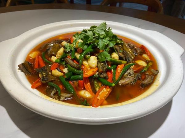 红烧鳝鱼怎么做_家常红烧鳝鱼的做法窍门-第3张图片-山城妙识