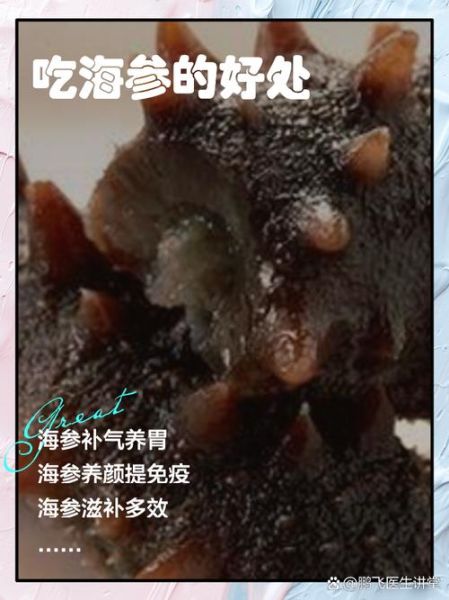 海参一周吃几个最佳_海参吃多了会怎样-第2张图片-山城妙识