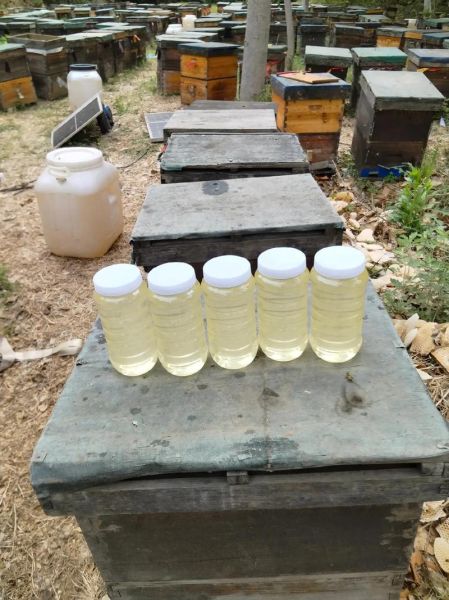 洋槐蜂蜜的功效与作用_洋槐蜂蜜适合什么人吃-第3张图片-山城妙识